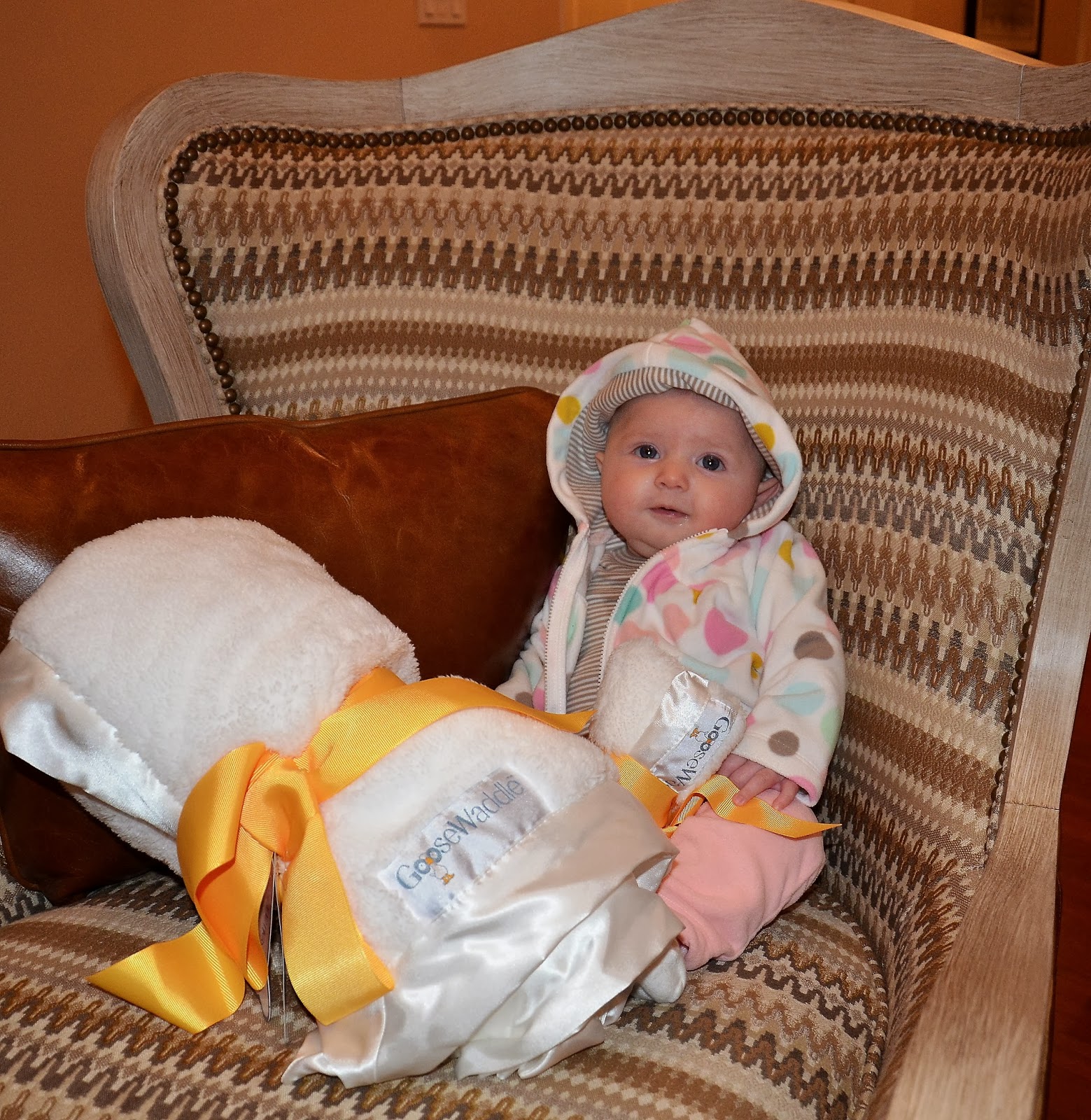 Sarah with an H: Goose Waddle Review & Giveaway