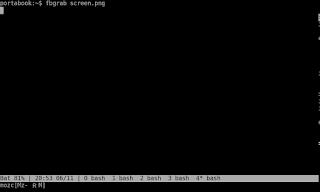 ちょっと、やったこと/思うこと: PortabookのPlamo LinuxでGNU Screenのhardstatusにバッテリー残量を表示する
