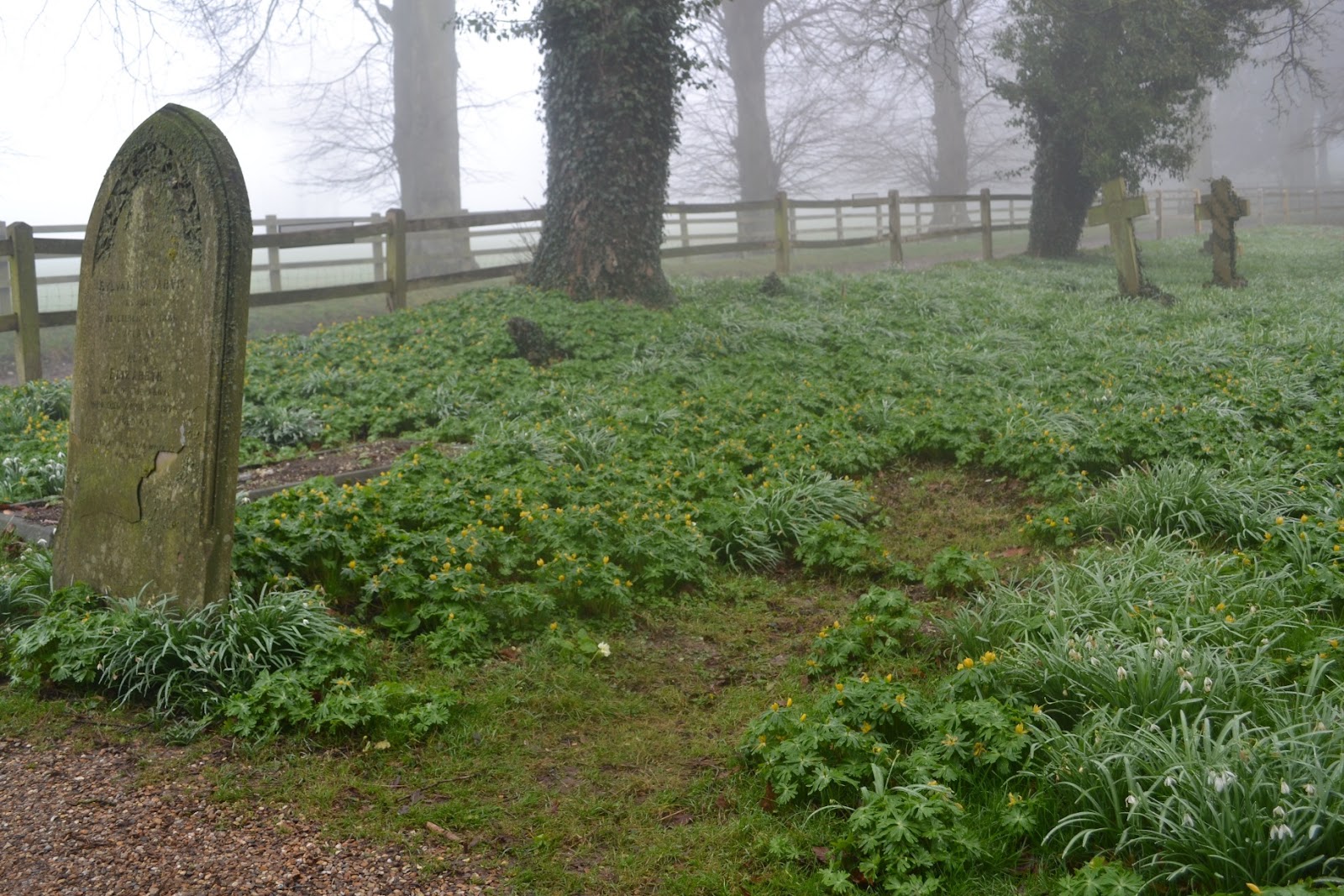 Walks among Flowers: Oxfordshire: Ewelme to Maidensgrove: Ancient ...