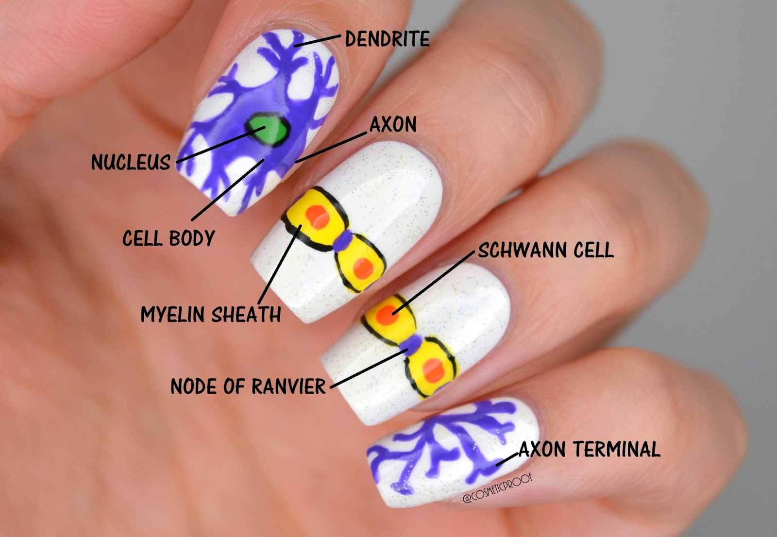 NAILS | Neurons Revisited | Cosmetic Proof | Vancouver beauty, nail art ...