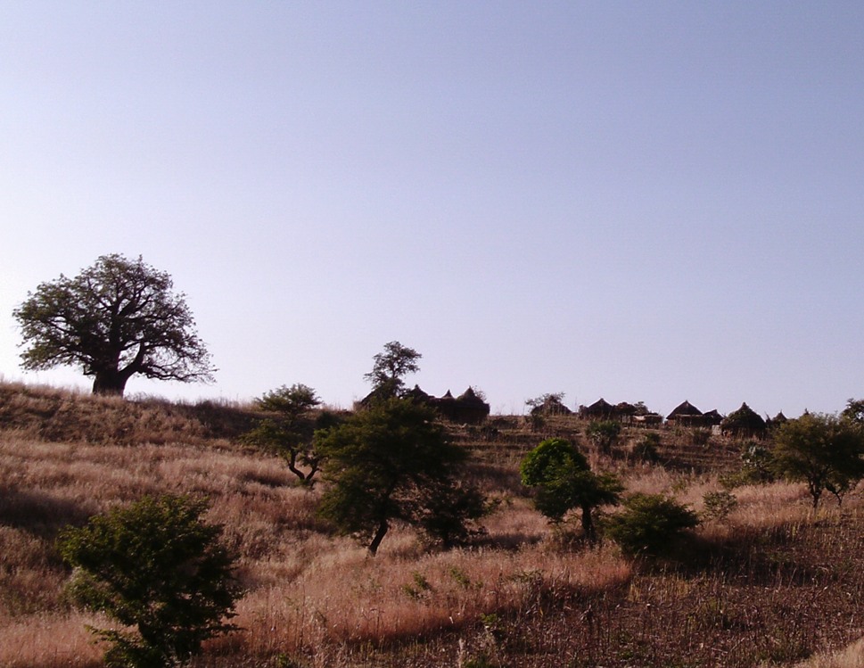 MISIONERAS COMBONIANAS EN MÉXICO, COSTA RICA Y GUATEMALA: AFRICA/SUR ...