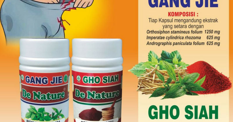 Obat Penyakit Raja Singa