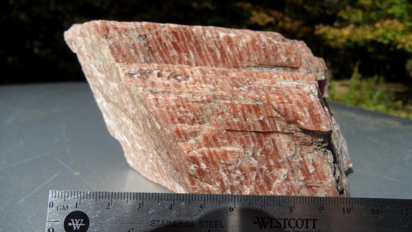 Fossils and Geology of Lanark County, Ontario: Perthite from Burgess ...