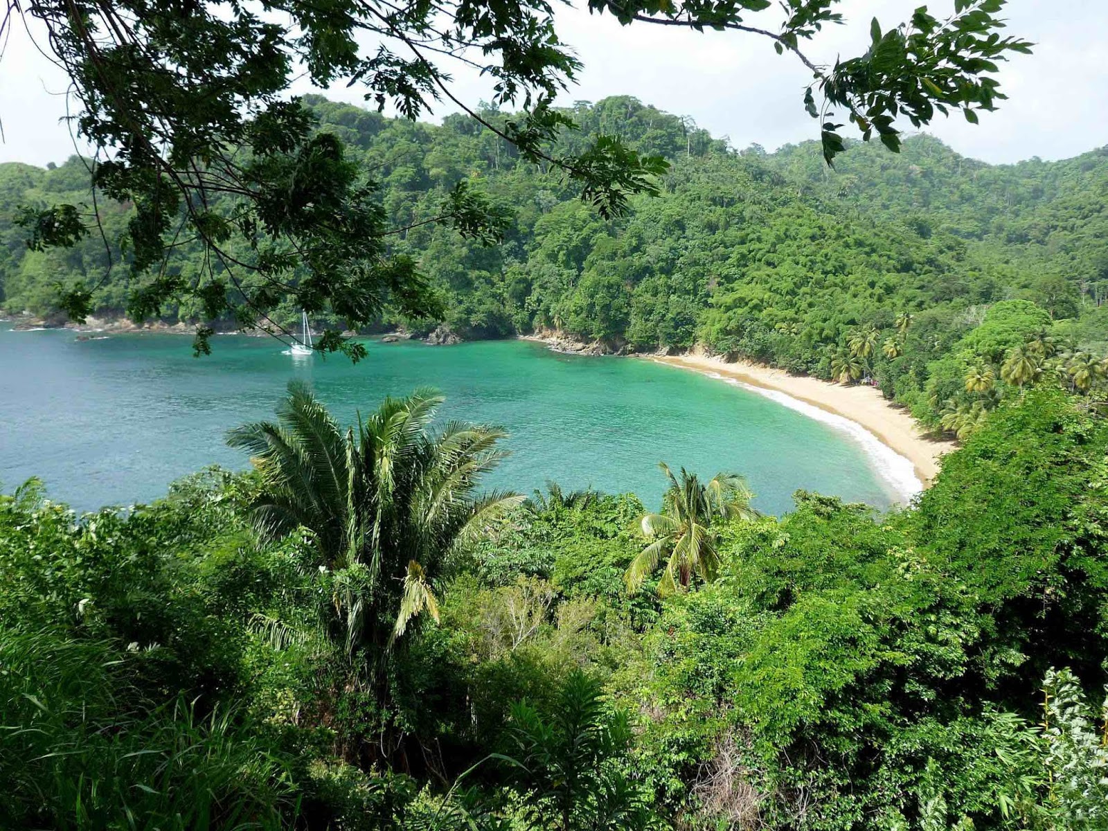 The need to include healthy marine ecosystems in Tobago's business model