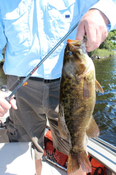 Rainy Lake Houseboats Fishing Report: The St. Croix Rod Family joins us ...