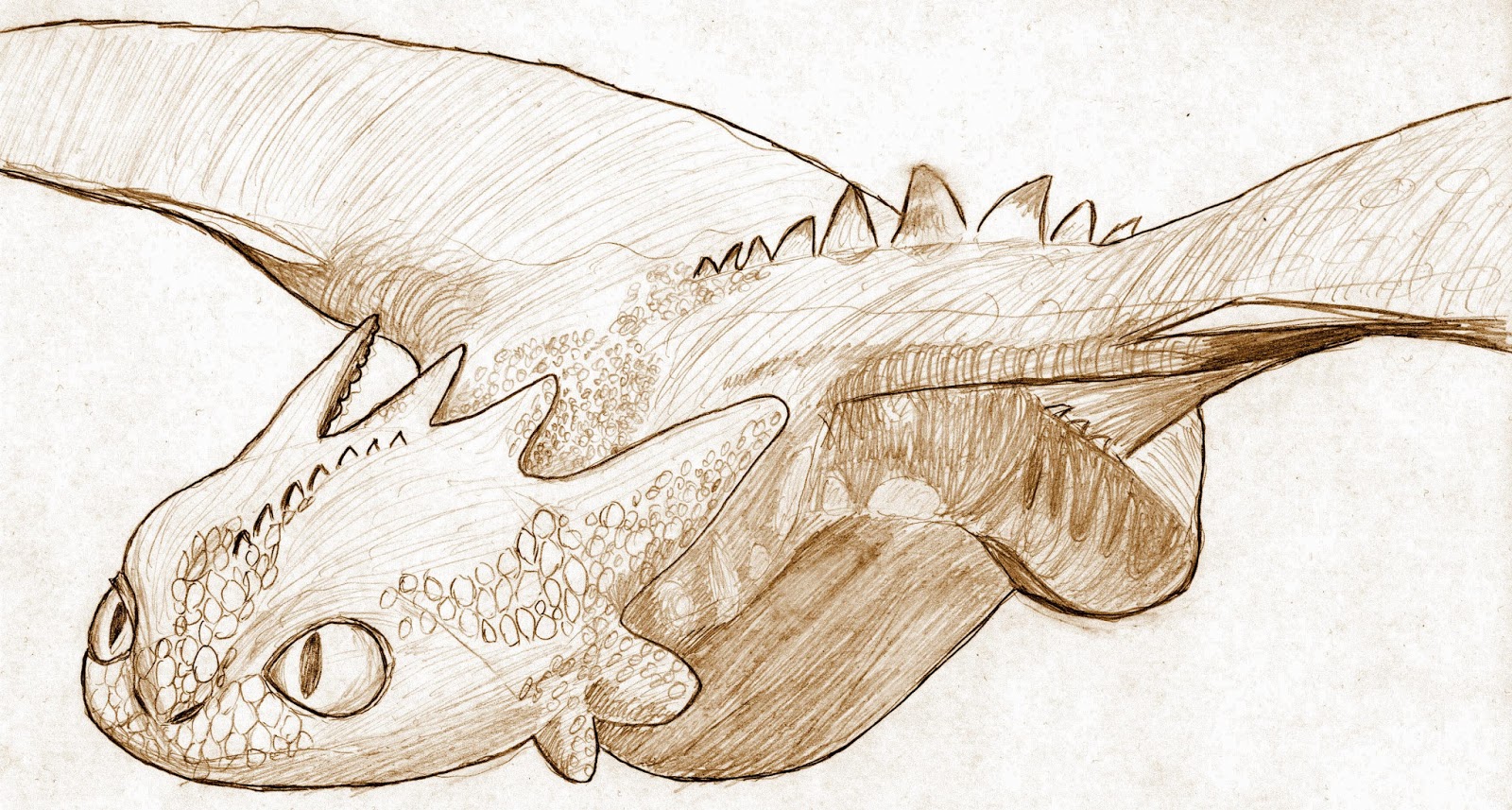 Toothless Flying Drawing