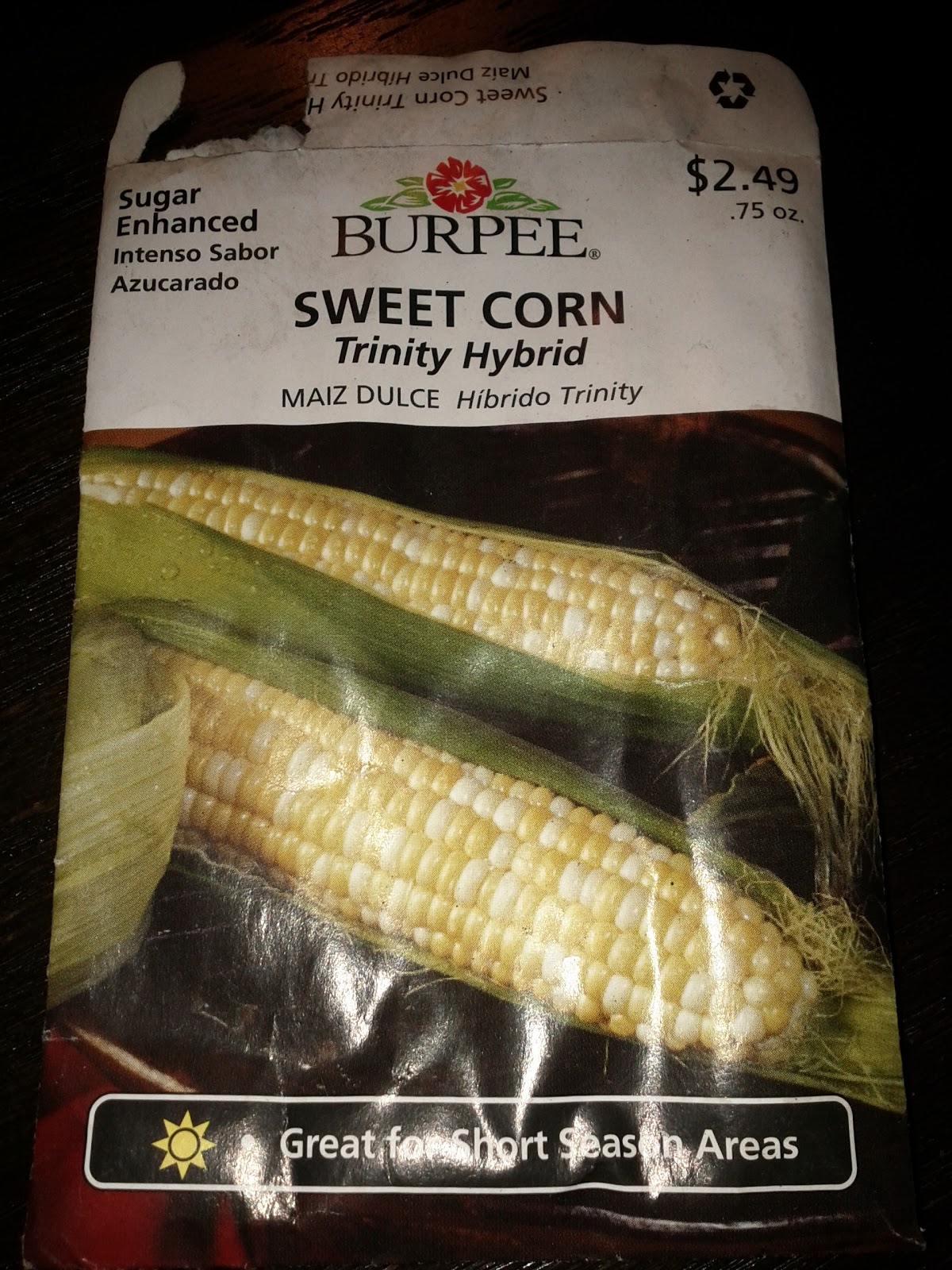 Sweet Corn Seedlings