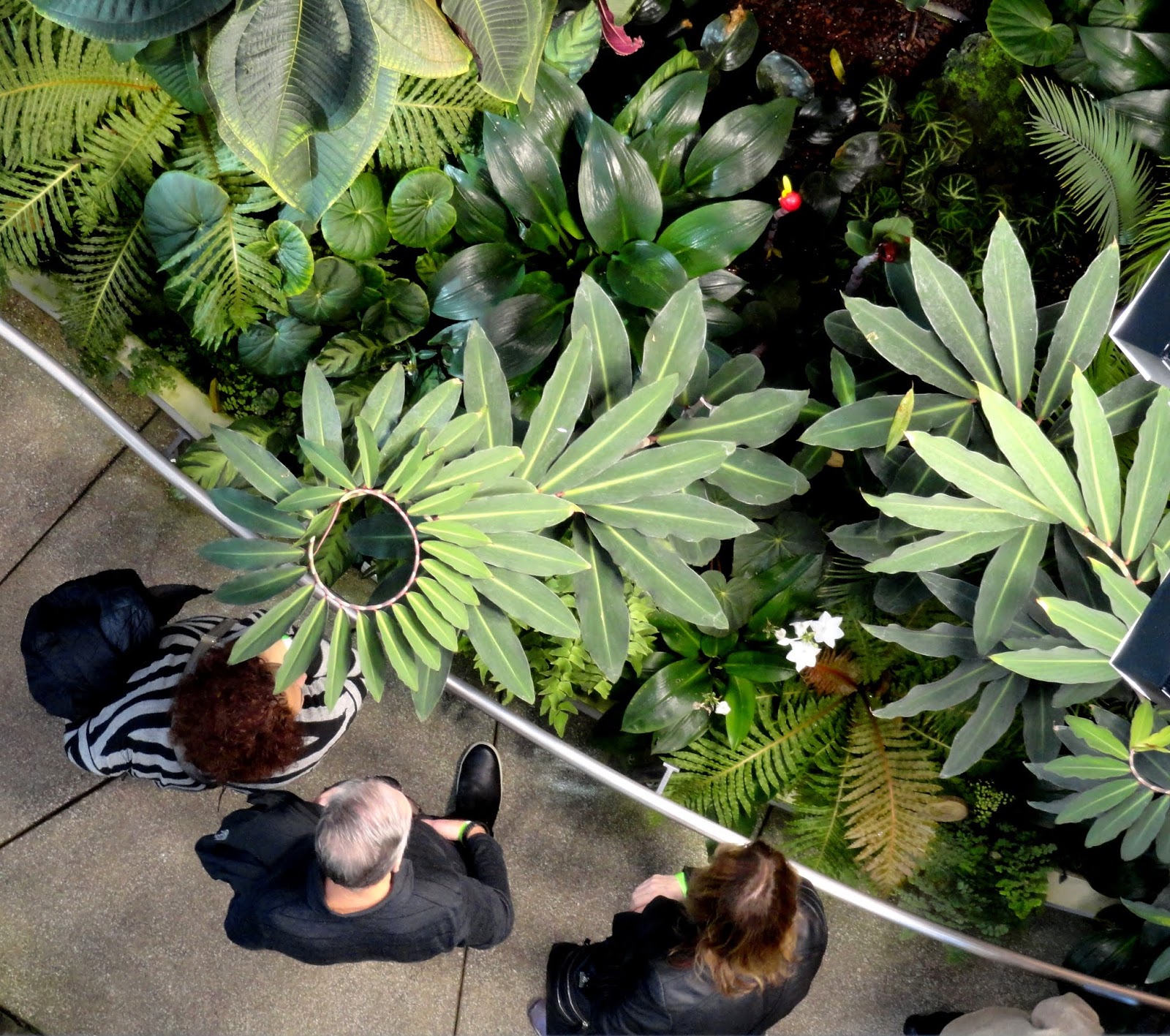 danger garden: Inside the Amazon Spheres Part Two: the rest of the cool ...
