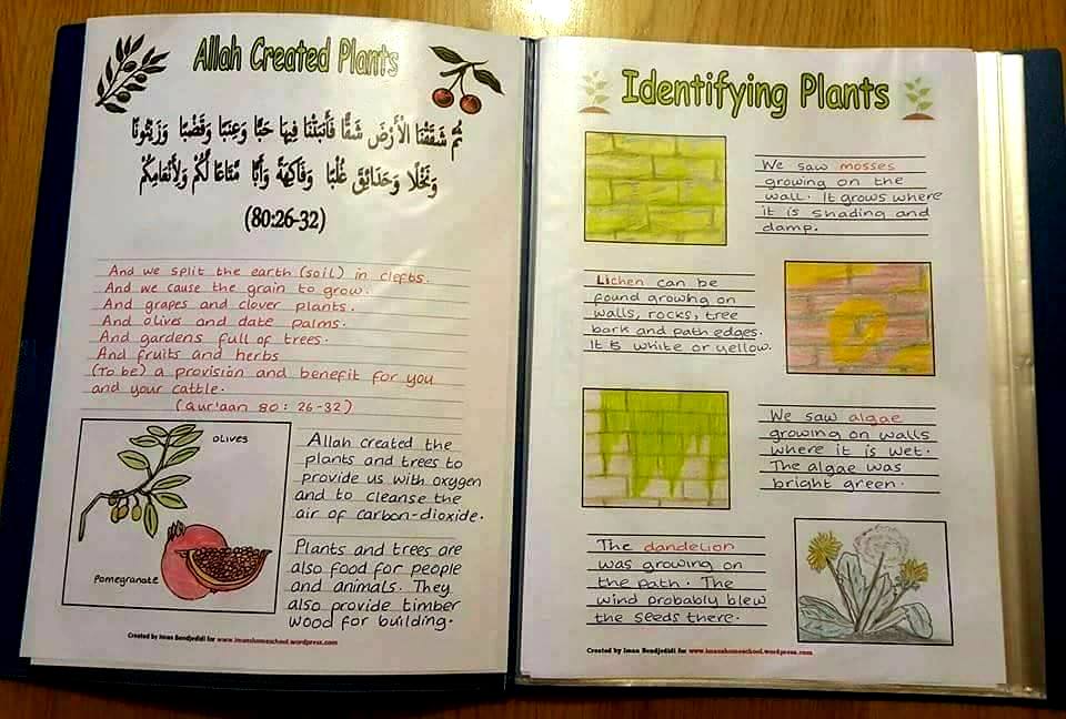 Iman's Home-School: Plants Notebooking Pages