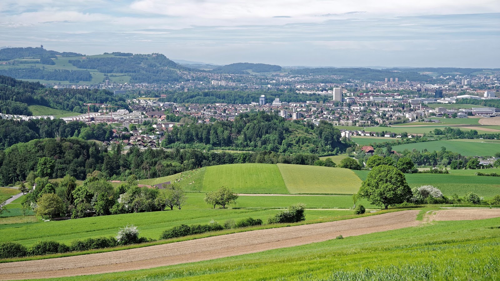 Wanderbare Geschichten: Elefanten Safari am Bantiger