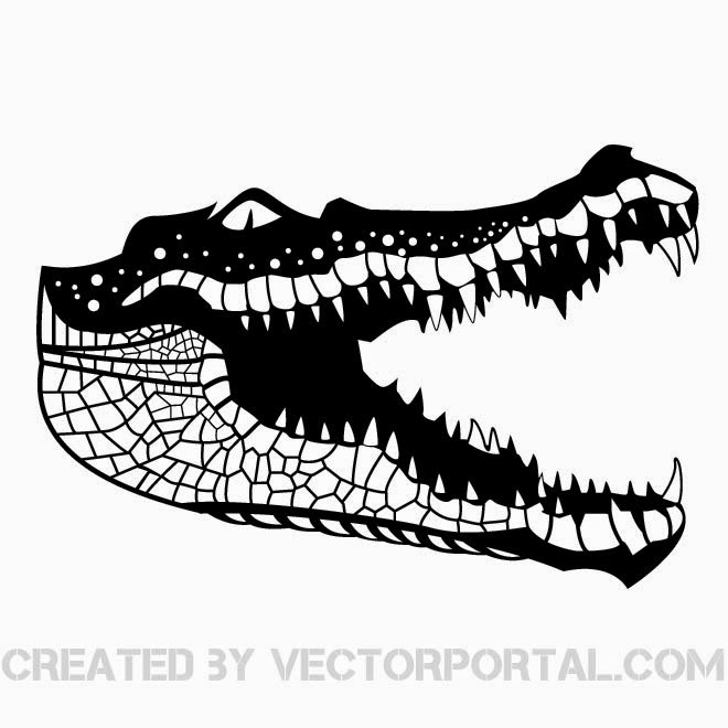 Alligator Head Vector