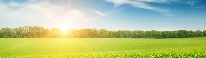 Plan Maroc Vert Objectifs Dépassés Dans Le Souss - SoussIktissad