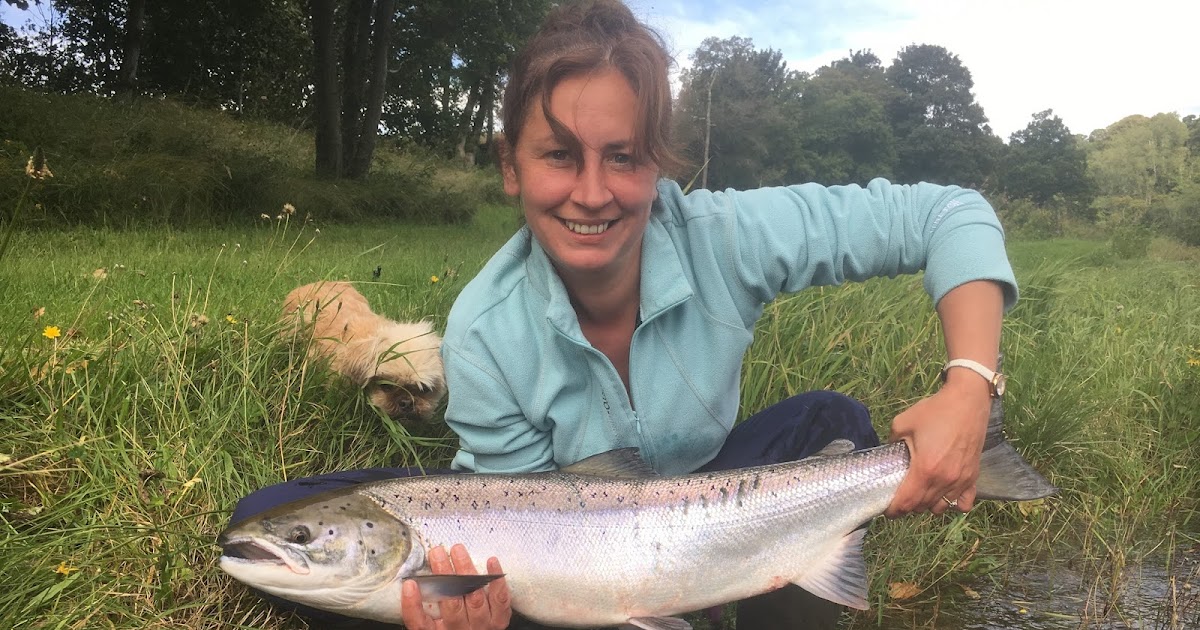 Stanley Beats River Tay : Salmon Fishing On The River Tay