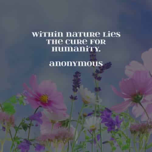 85 Nature quotes that'll inspire to love and value its beauty