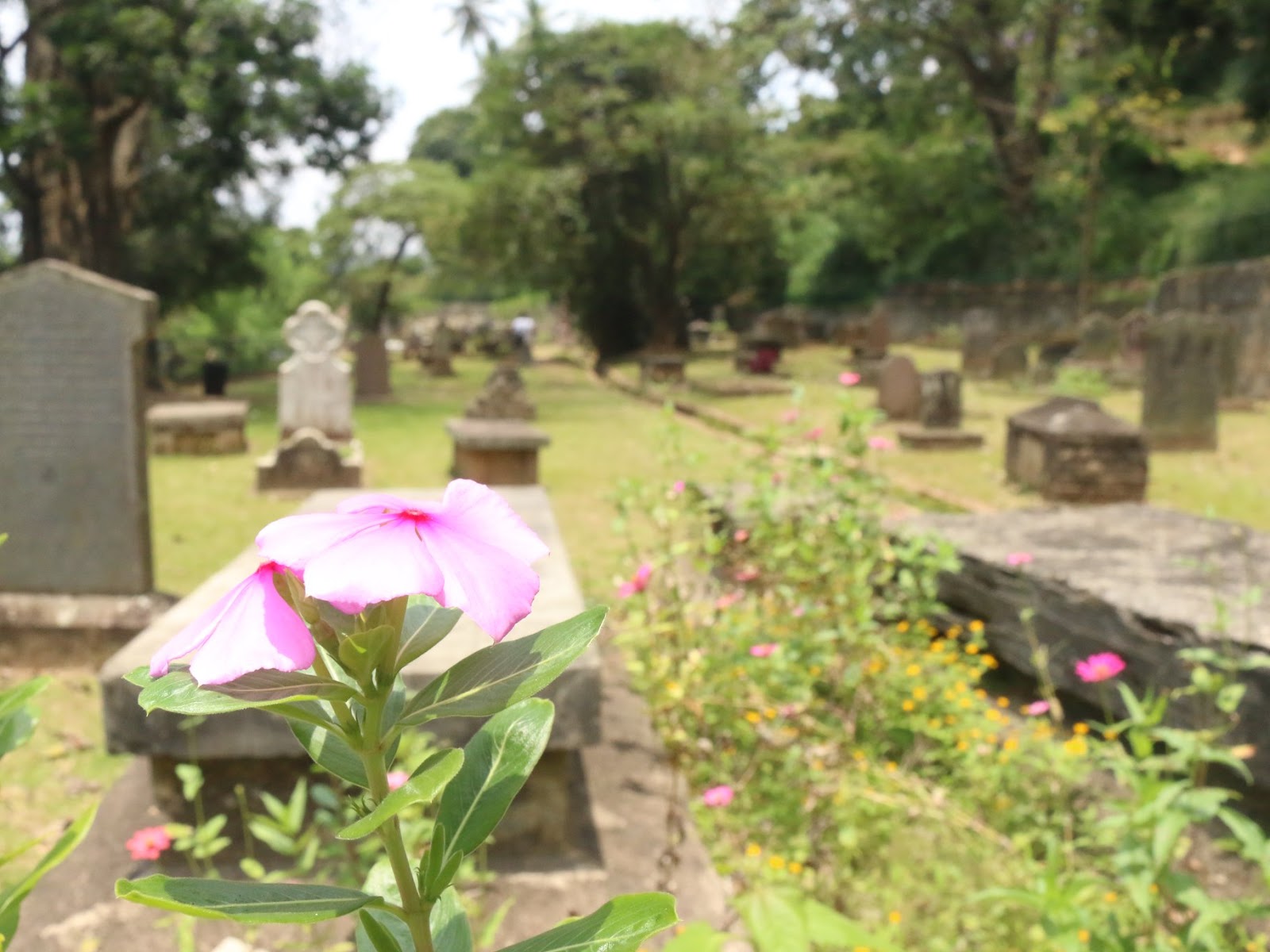 Travel Sri Lanka: British Garrison Cemetery
