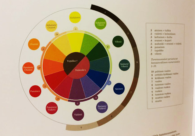 Hairstylist TO be : Luxima