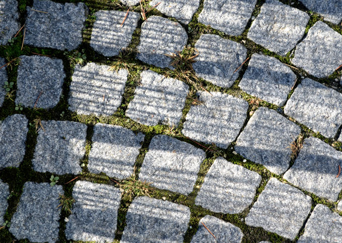 avril 2016 | Mary & Patch