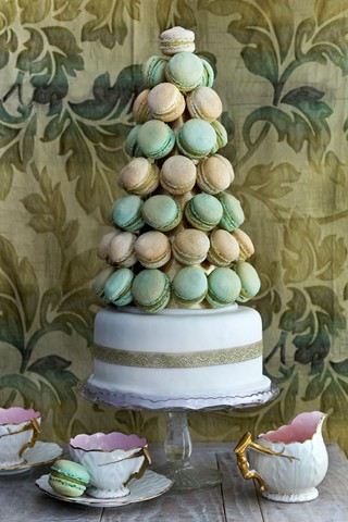 Icing Designs: French Macarons & Cake