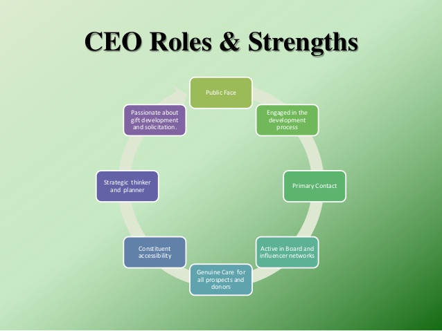 CEO Development Programs: 5 Ways to Lead a Company Effectively