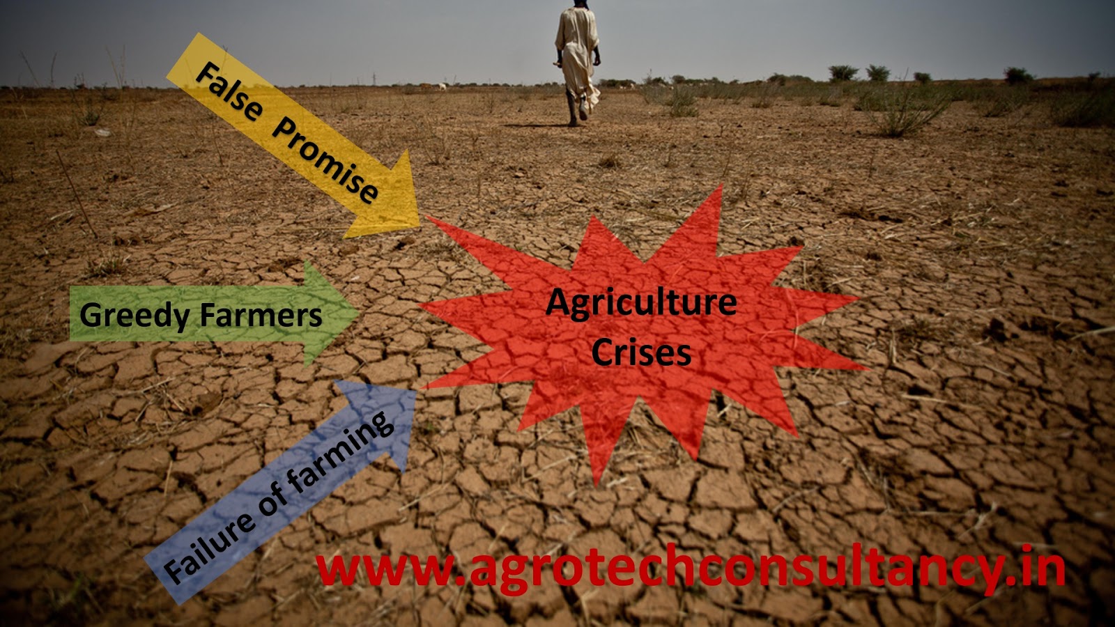 AGRICULTURE CONSULTANCY: November 2018