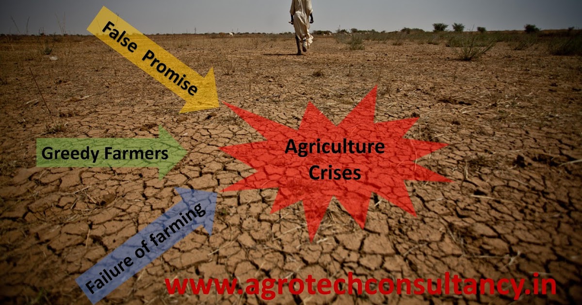 AGRICULTURE CONSULTANCY: False political promise and agriculture crises ...