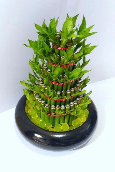 Bunga yang Cocok untuk Dekorasi Berdasarkan Feng Shui - AGUSTINA ...