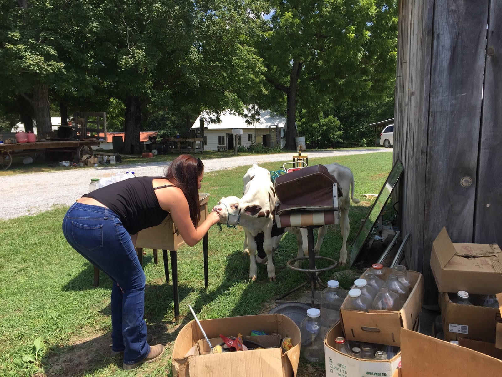 Snug Harbor Bay: Amish Community Marion, KY