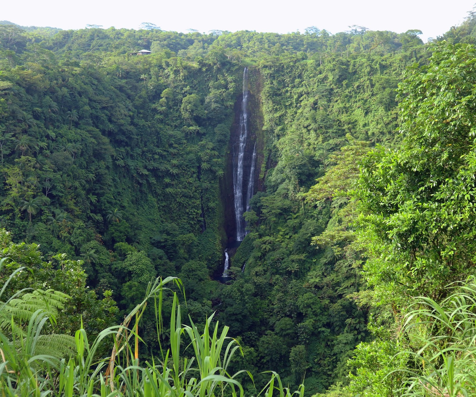 To Travel is to Live: Samoa