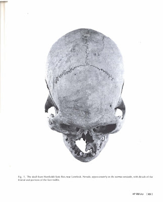 The Slope-Headed Ones: America's Original Tribe?