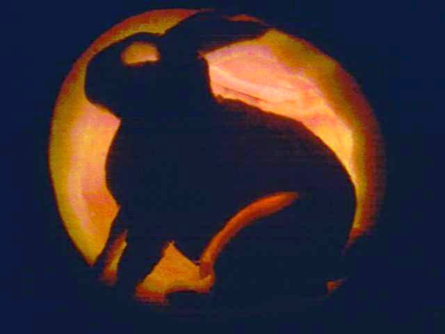 Rabbit Ramblings: Bun o' lanterns -- Bunny pumpkins for Halloween