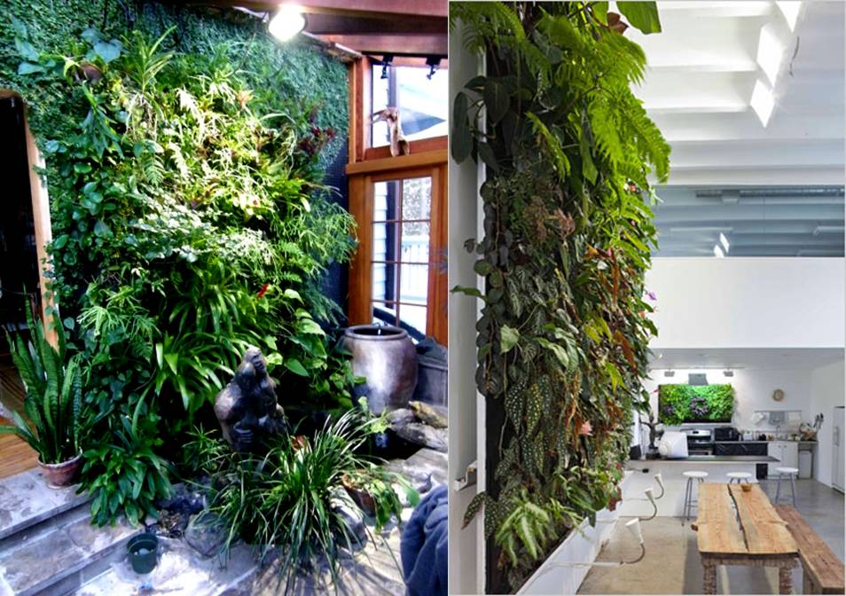 PeapodLife: Rainforest Ecosystem vs. “Green Bling”