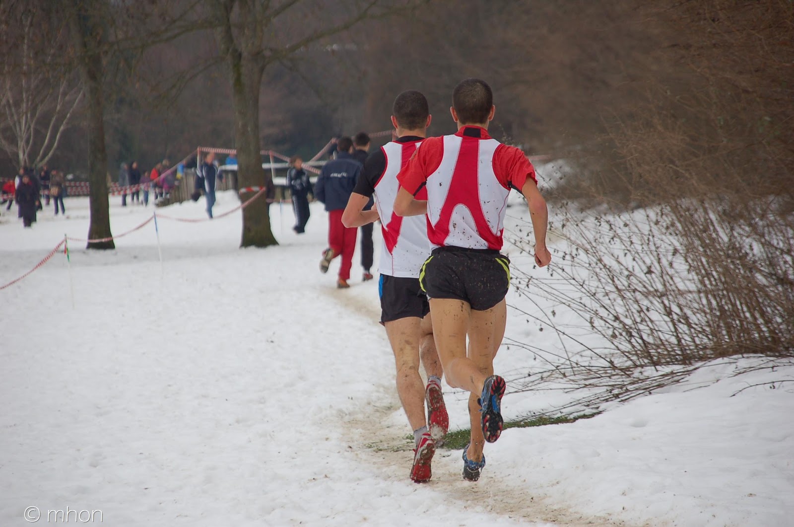 COURSE A PIED: PREPARATION CROSS MOIS DE JANVIERS