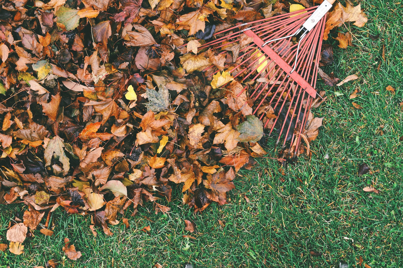 Fall Gardening Checklist