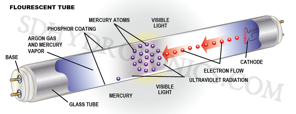 Electrical Engineering World: Inside Fluorescent Lights
