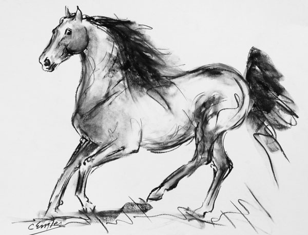 Carol Engles Art: Mare in Foal, charcoal equine drawing by Carol Engles