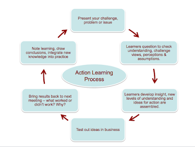 Observations in an undemocratic world: Action learning in the workplace