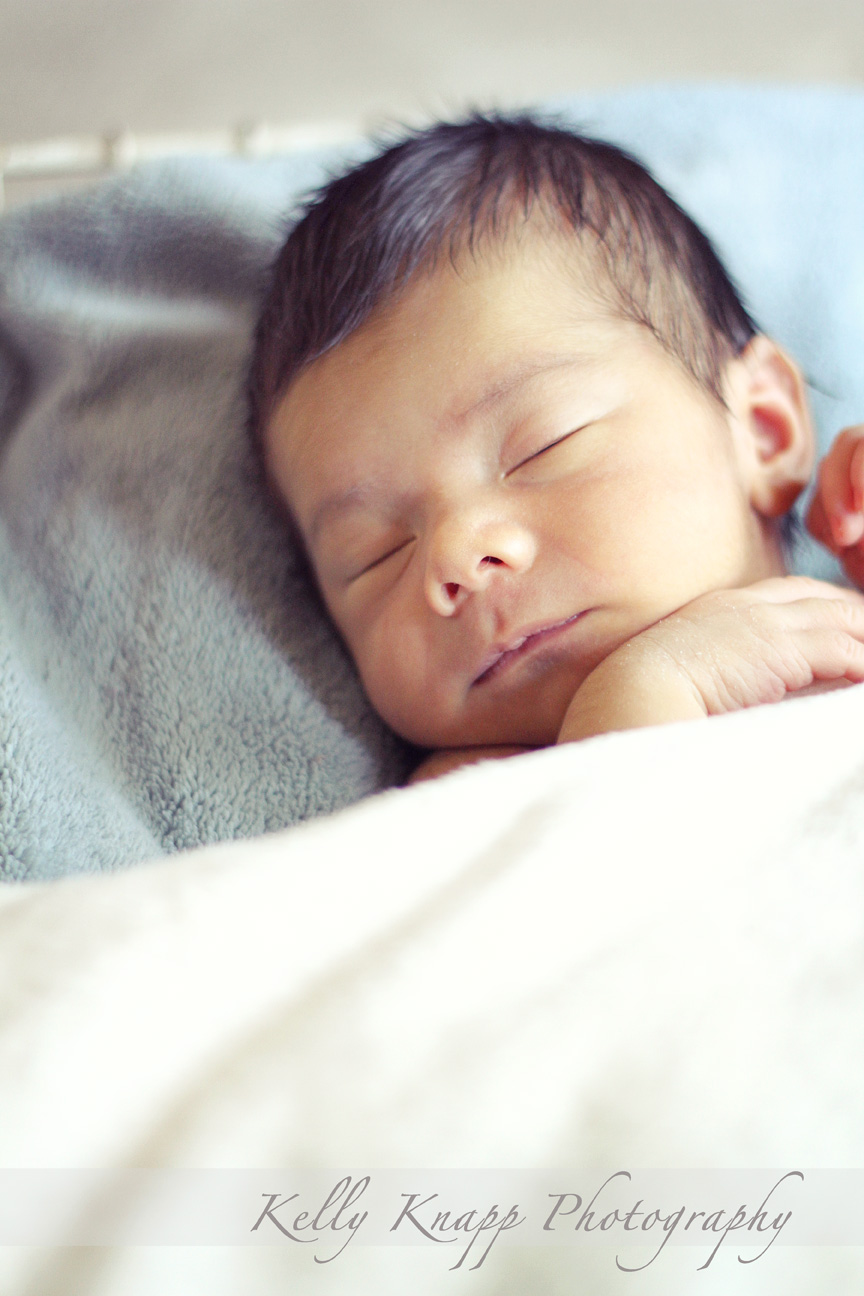 Kelly Knapp Photography