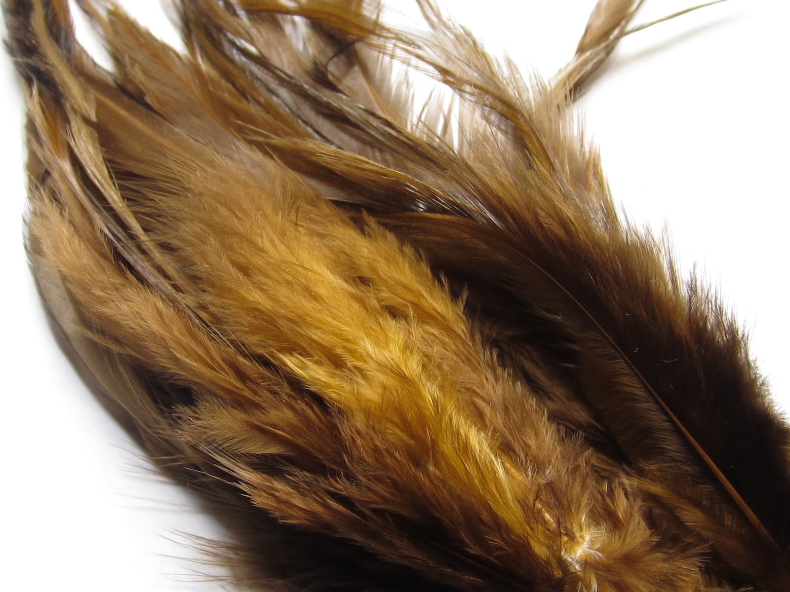 Fly Tying Videos: How to Tie Flies for Freshwater and Saltwater: How to ...