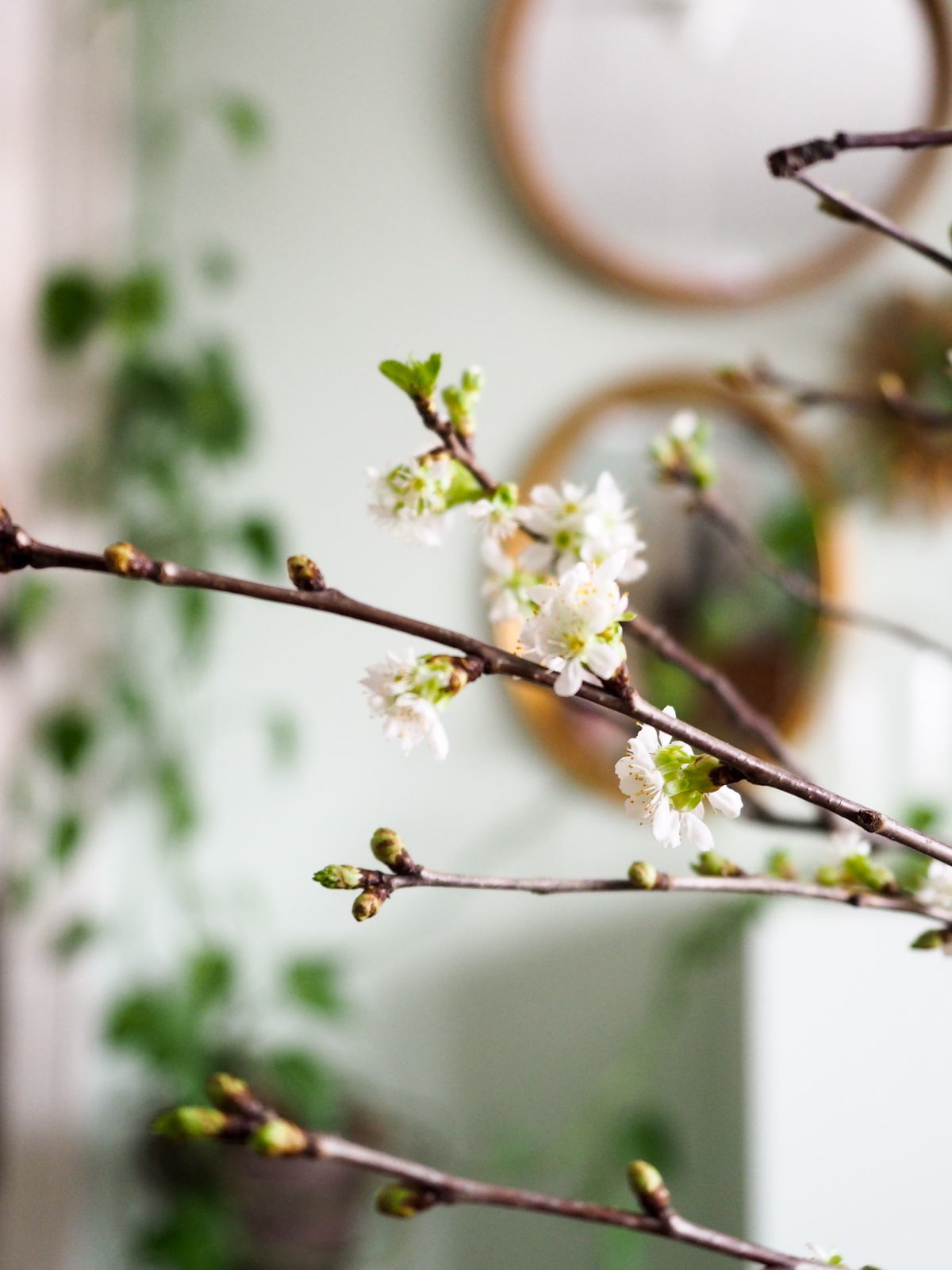 Risuja ja heiniä! — Keltainen kahvipannu