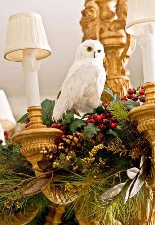 My Owl Barn: Happy Holidays! + Awesome Christmas Owl Decorations