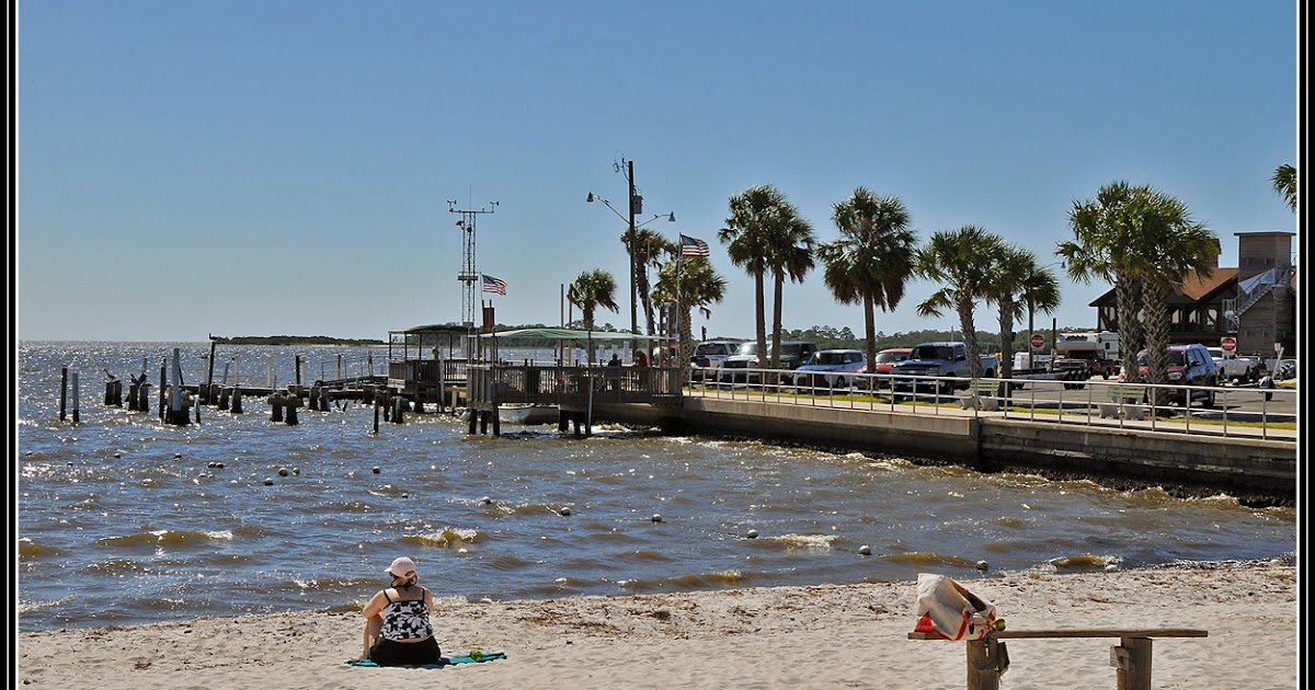Cedar Key (Florida) Photos: Getting some sun at the Cedar Key beach
