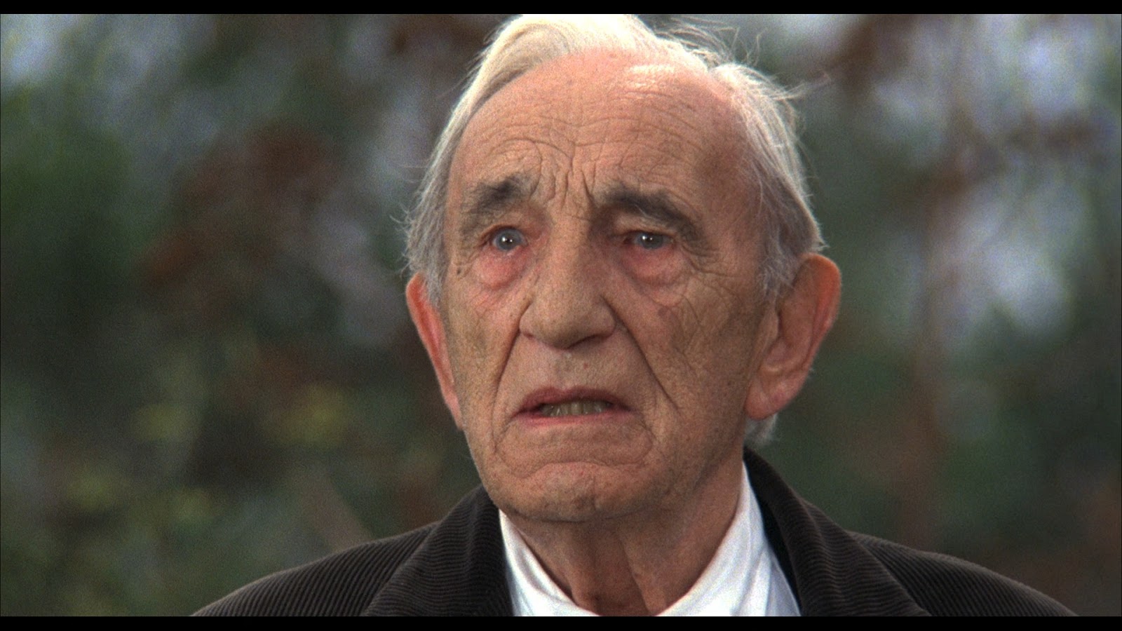 Arrow Video: Three Brothers (1981) - Reviewed