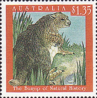 Helsie's Happenings: BUNYIPS