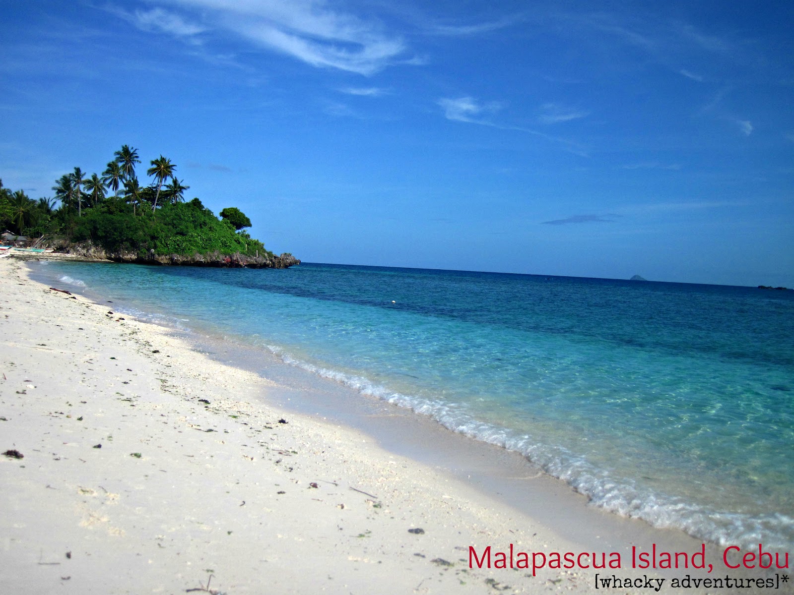 Whacky Adventures*: Whacky Sidetrip: Malapascua Island, Cebu