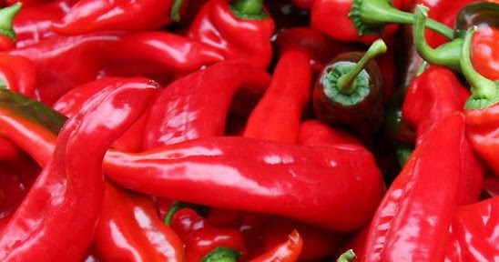 Durmak Bize Yakismaz: Karacabey's Red Kapya Pepper is Special