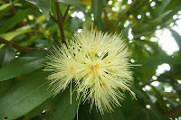 Riverine Parks: January 2013