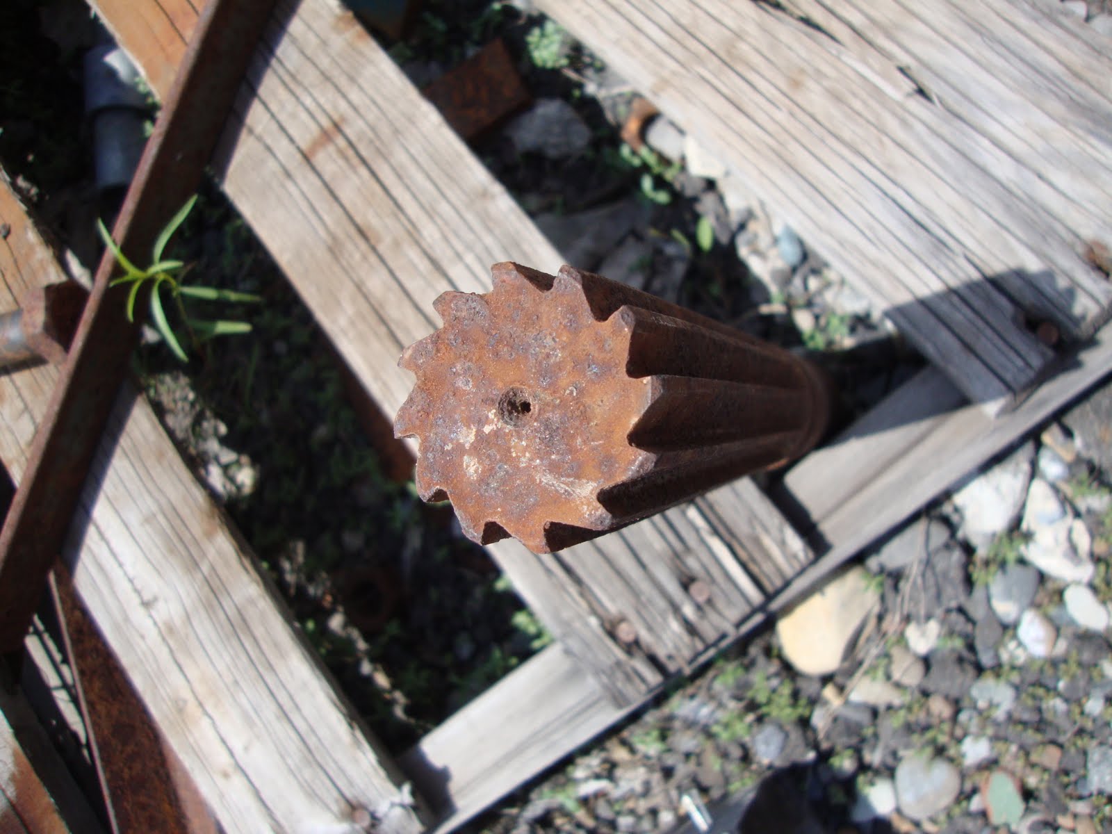 danger garden: Brown Building Materials, a rusty paradise.