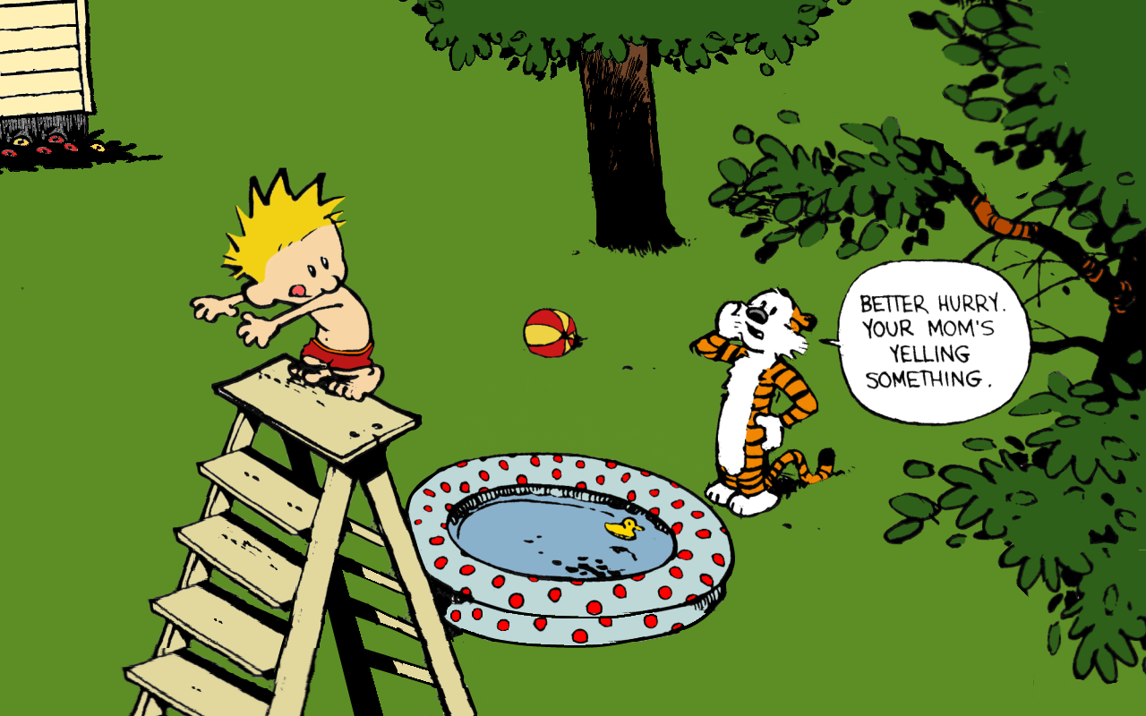 Une curiosité de qualité: Calvin et Hobbes