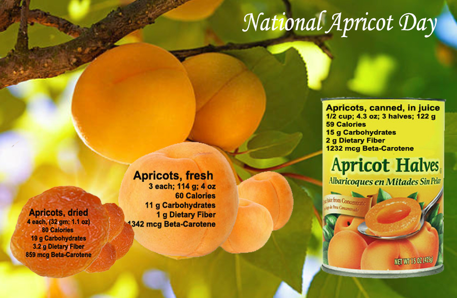 Dietitians Online Blog