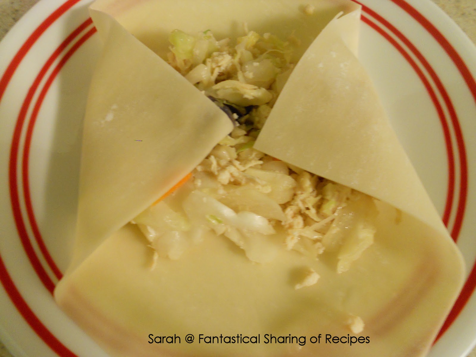 Fantastical Sharing of Recipes: Chicken Egg Rolls